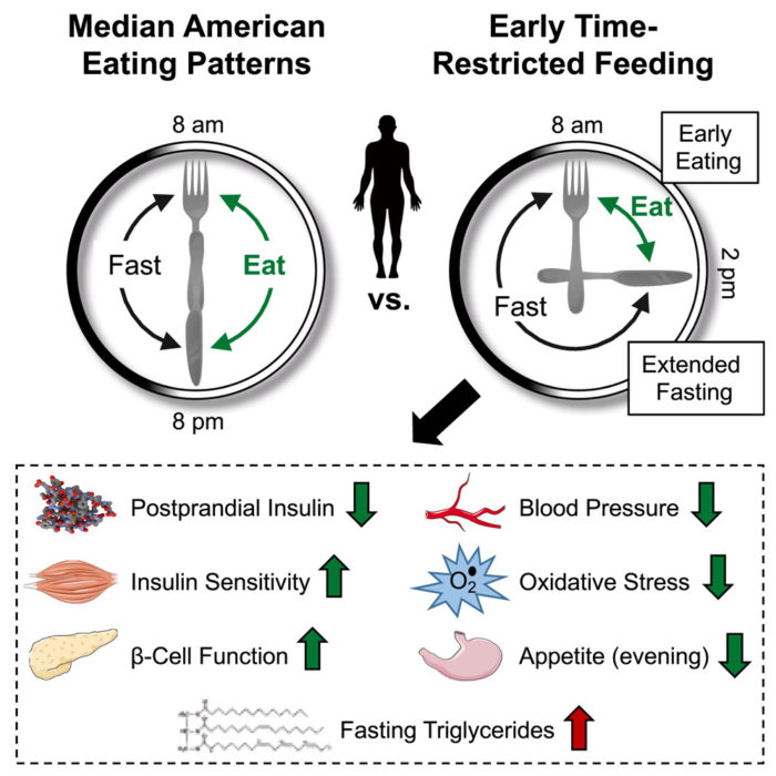 Early Time-Restricted Feeding for the Prevention of Diabetes ...